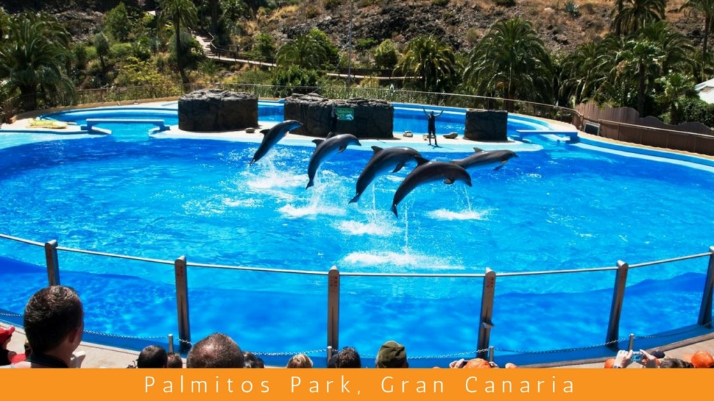Palmitos Park / Program / Kanári-szigetek - ViaSale Travel